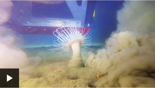 2019-12-19 Deep-sea mining 深海采矿